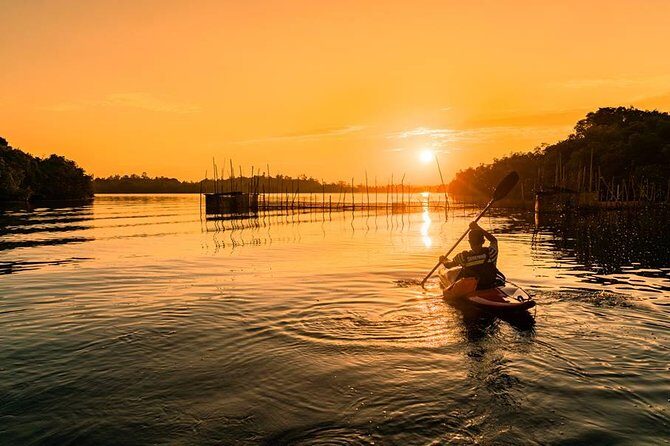 Madu River Sunrise Mangrove Kayaking - Key Points