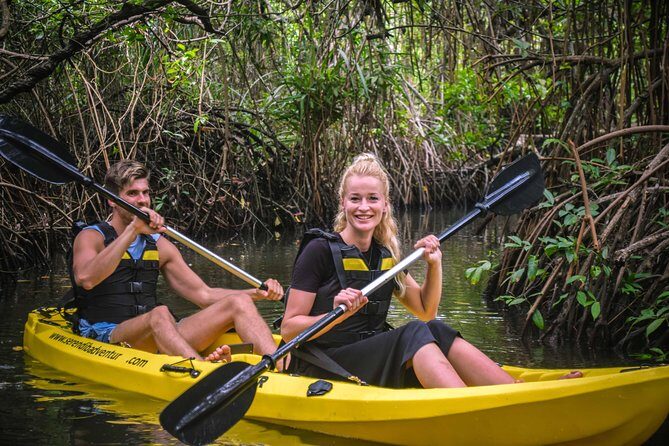 Madu River Sunrise Mangrove Kayaking from Colombo - Key Points