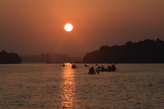 Madu River Sunrise Mangrove Kayaking from Colombo - Who Is This Tour Best For?