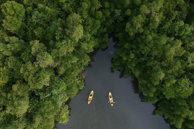 Madu River Sunrise Mangrove Kayaking from Colombo - The Sum Up