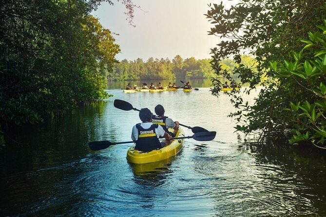 Madu River Sunrise Mangrove Kayaking from Colombo - FAQ