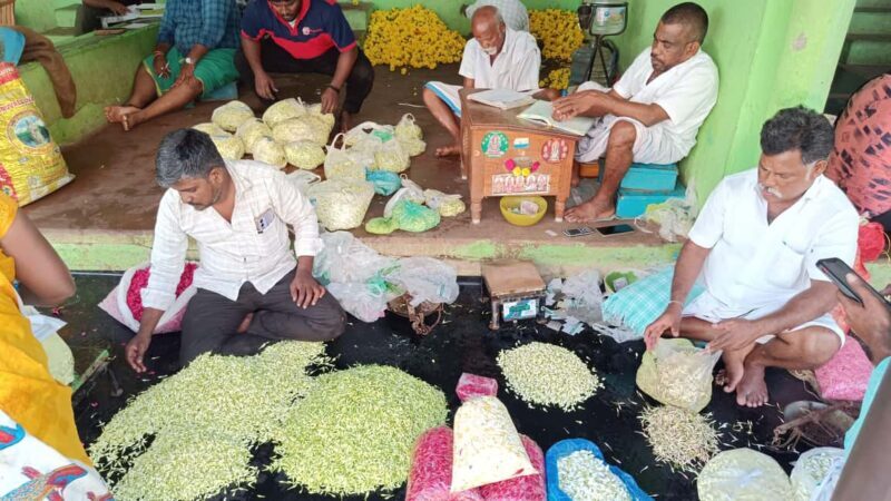 Madurai: Private Guided Day Tour Highlights & Hidden Gems - A Practical Guide to the Madurai Day Tour