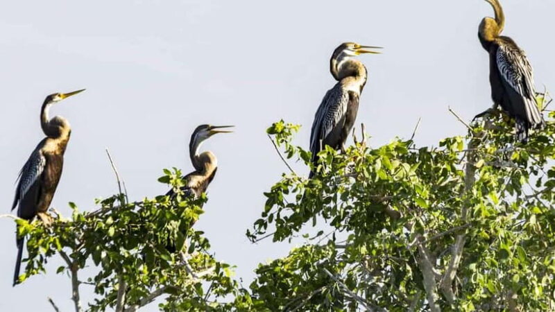 Maduru Oya National Park Private Safari - Key Points