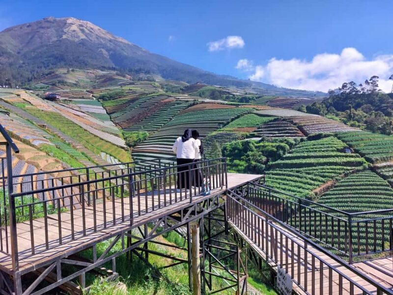 Magelang: Silancur Highland Sunrise & Sukomakmur Tour - Is It Worth the Cost?