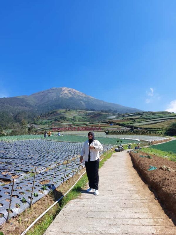 Magelang: Silancur Highland Sunrise & Sukomakmur Tour - What Reviewers Say