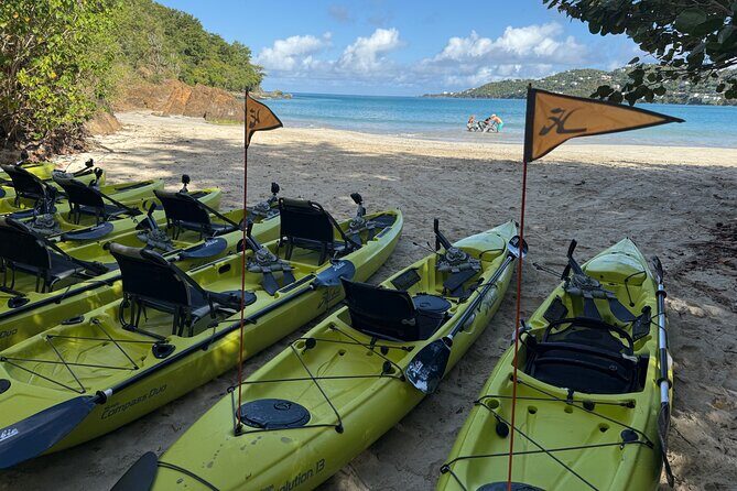 Magens Bay Nature Walk & premium hands-free Hobie Kayak Adventure - Exploring the Magens Bay Nature Walk & Kayak Adventure — A Comprehensive Review