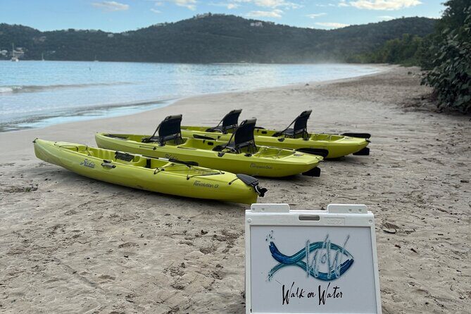 Magens Bay Nature Walk & premium hands-free Hobie Kayak Adventure - The Practicalities: Timing, Group Size, and Other Details