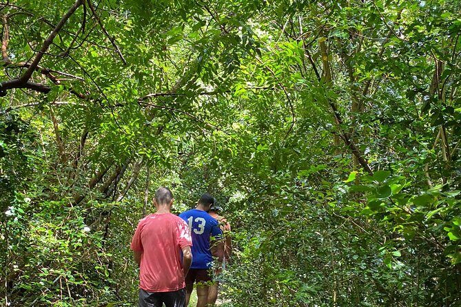 Magens Bay Trail Hiking Tour - Authentic Insights from Travelers