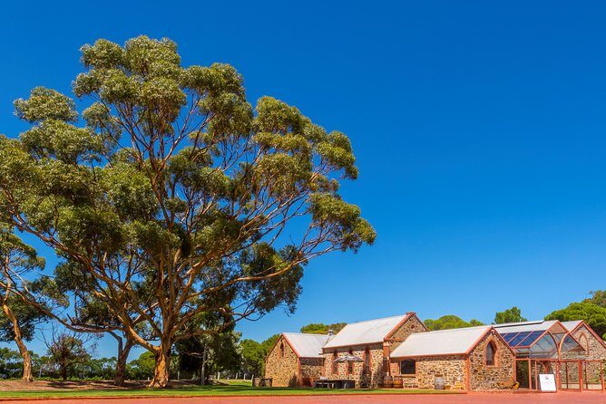 Maggie Beer's Farm Cooking School and Seasonal Lunch - Practical Tips for Visitors