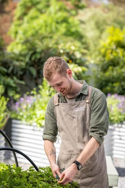 Maggie Beer's Farm Hands-on Cooking School and Lunch - Why You Should Consider This Tour