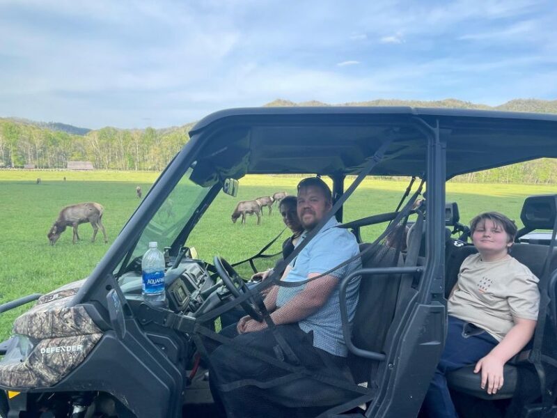 Maggie Valley: Guided Scenic UTV Adventure - The Sum Up