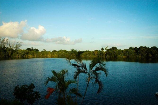 MAGIC BACALAR, 7 Colors Lagoon & Cenote Azul. Transport included - Summary of the Experience