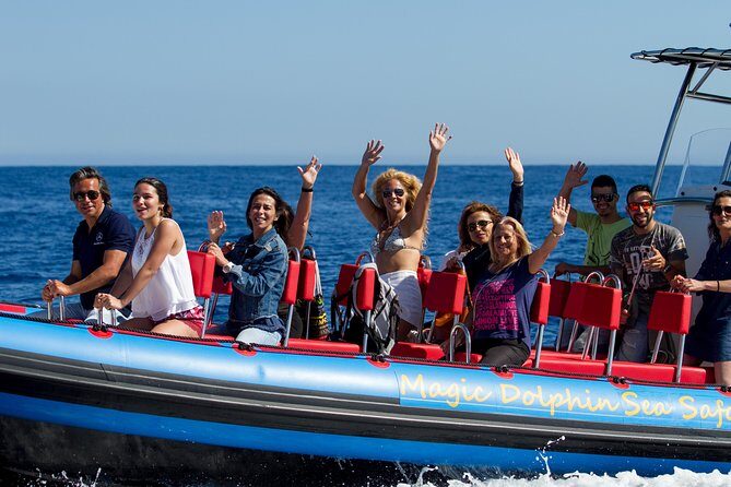 Magic Dolphin Sea Safaris - An In-Depth Look at What to Expect