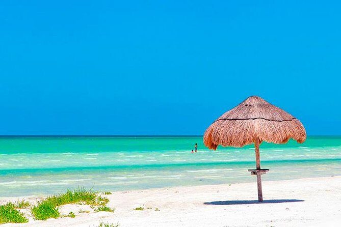 Magic Island Holbox! Experience From Cancun & Playa del Carmen - FAQs About the Holbox and Isla de la Pasión Tour