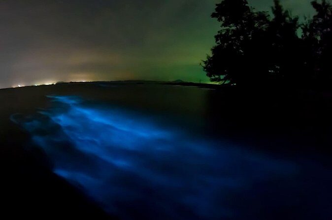 Magic Night in the Lagoon of Manialtepec Bioluminescence - Final Thoughts: Who Will Love or Leave This Tour