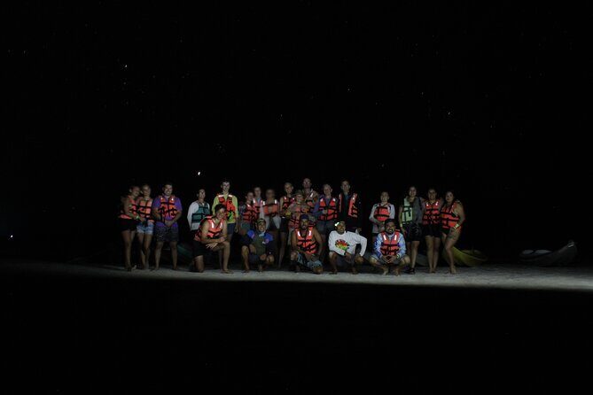 Magic Night of Stargazing and Bioluminescence - What the Reviews Say: Authentic Insights