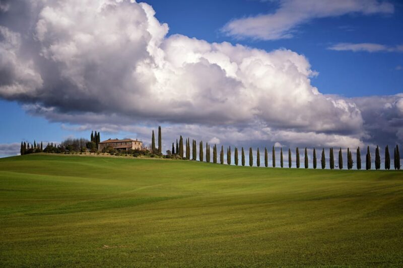 Magic Tuscany Tour - Authentic Experiences and Real Guest Feedback