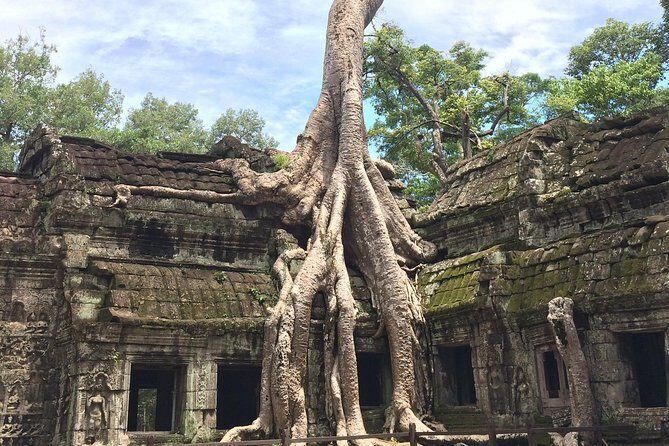 Magical Angkor Wat Sunset Tours, Bayon And Ta Prohm In A Day Trip - Authentic Experiences and Final Thoughts