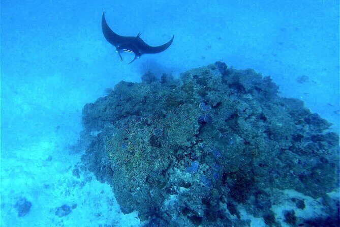 Magical Boat Tour with Underwater Cabin in Bora Bora! - The Itinerary in Detail: What to Expect