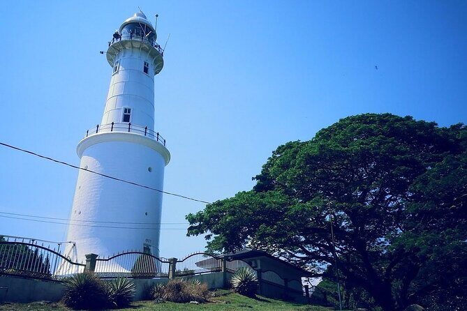 Magical Fireflies Tour - An In-Depth Look at the Experience