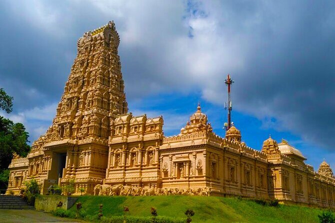 Magical Fireflies Tour - Final Thoughts