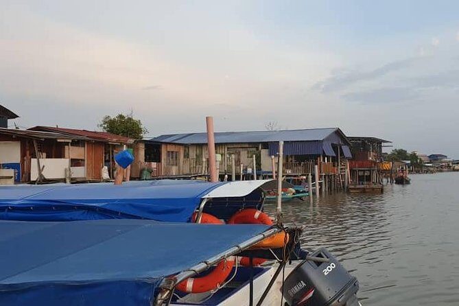 Magical Fireflies Tour - An In-Depth Look at the Magical Fireflies Tour