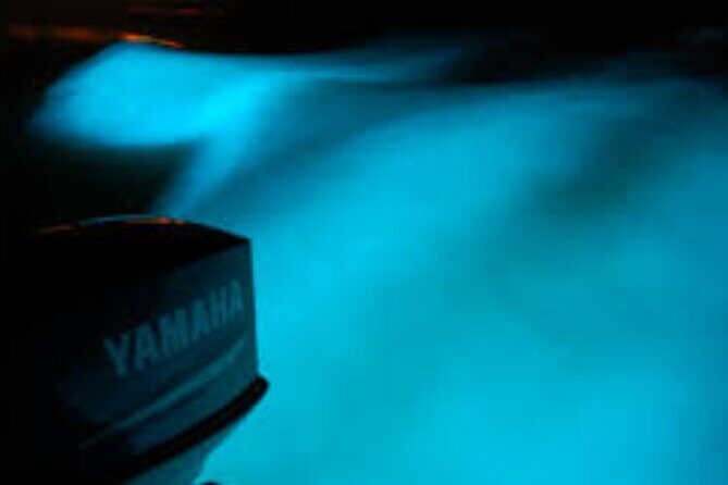 Magical Luminous Lagoon Private Tour - Who Should Consider This Tour?