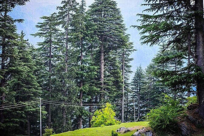 Magical Manali Honeymoon Package - Introduction