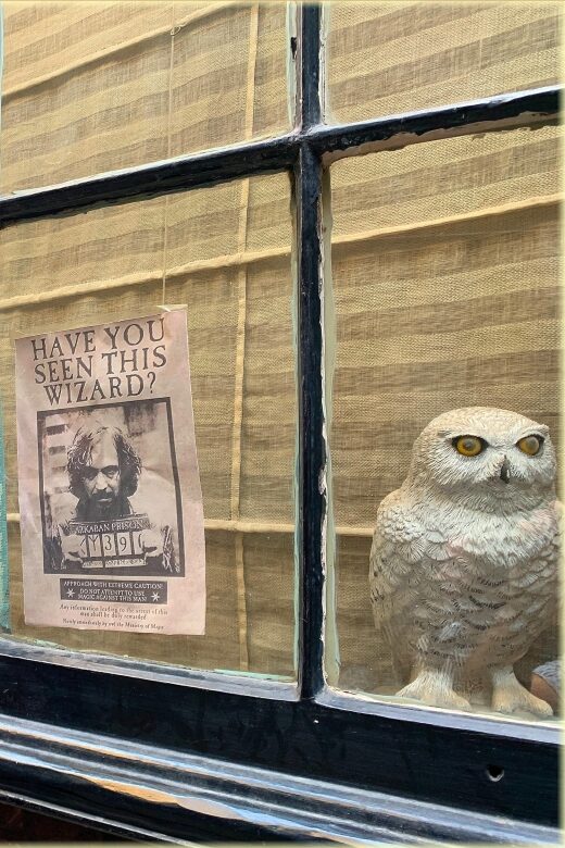 Magical Movies: London Harry Potter Tour - The Sum Up: Is This Tour Worth It?