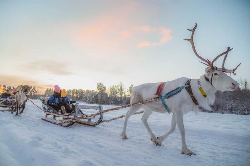 Magical Private Santa Visit, Reindeer Ride & Elf Workshops - Key Points