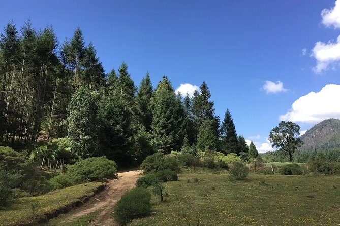 Magical Santa Clara leaving from Morelia - First Stop: Tiripetio — A Hidden Gem of History