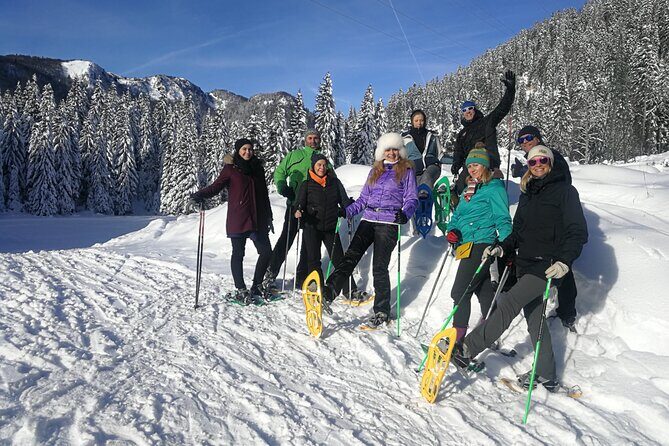 Magical Snowshoeing in Bohinj valley - Suitability and Final Thoughts