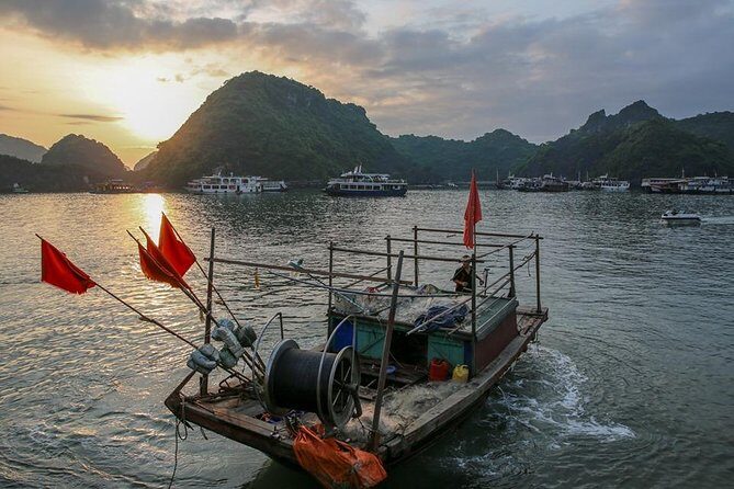 Magical Sunset and Evening with glowing plankton by Cat Ba Local - The Sum Up