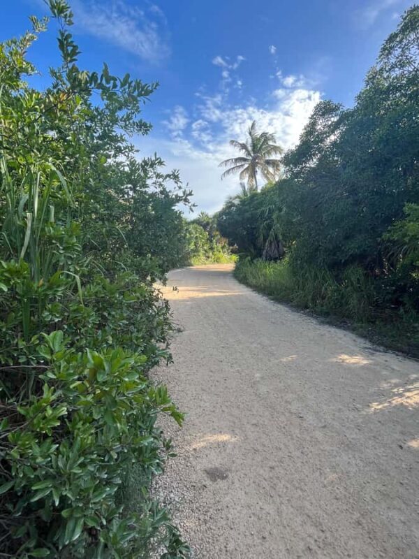 Magical Sunset at Sian Ka'an Biosphere, 3 hours boat tour - Key Points