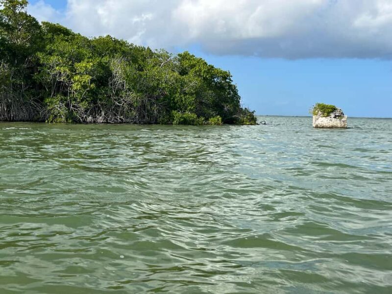 Magical Sunset at Sian Ka'an Biosphere, 3 hours boat tour - Real Traveler Insights