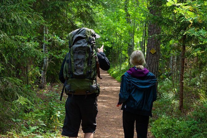 Magical Taiga Forest Hike with Lunch and Transportation - Transportation and Practicalities