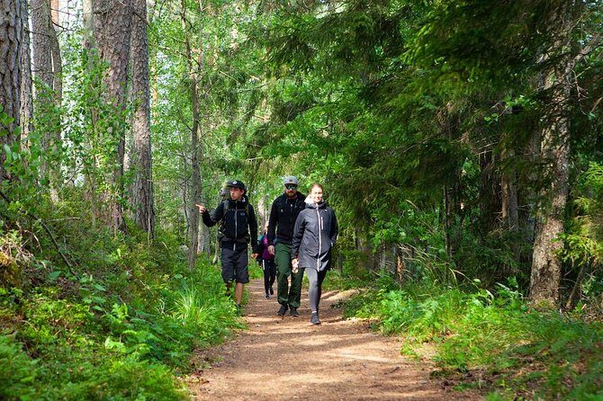 Magical Taiga Forest Hike with Lunch and Transportation - Who Would Love This Tour?