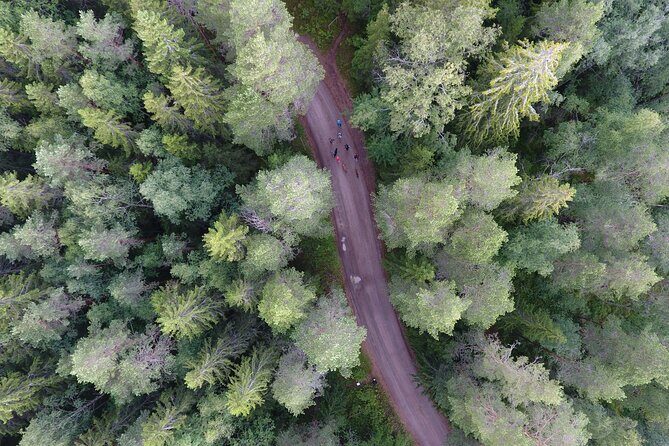 Magical Taiga Forest Hike with Lunch and Transportation - The Sum Up: Is it Worth It?