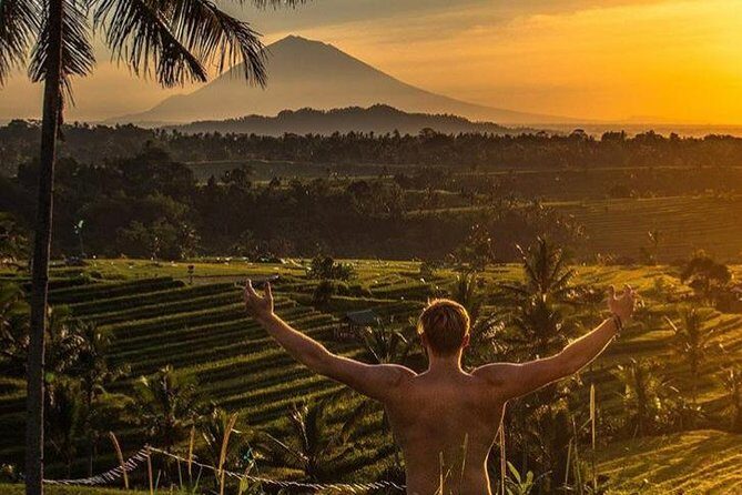 Magical Ubud Rice Terrace Tour (Private & All-Inclusive) - Why Choose the Magical Ubud Rice Terrace Tour?