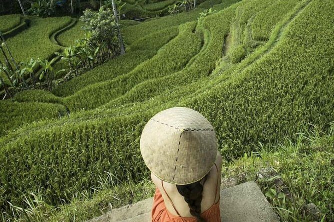 Magical Ubud Rice Terrace Tour (Private & All-Inclusive) - Authentic Experiences Based on Reviews