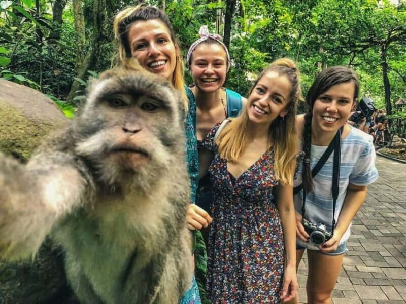 Magical Ubud: Temples, Rice Terraces & Waterfalls - The Practicalities of a Full Day