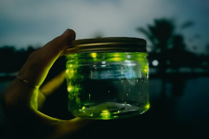 Magical Village Tour & Private Dinner with Fireflies in Bali - The Sum Up