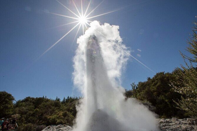 Magical Wanderer Experience Private Tour to Te Puia & Wai-O-Tapu - An In-Depth Look at the Tour Experience