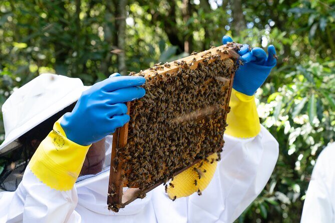 Magical World of Beekeeping on São Miguel Azores Private Tour - FAQ
