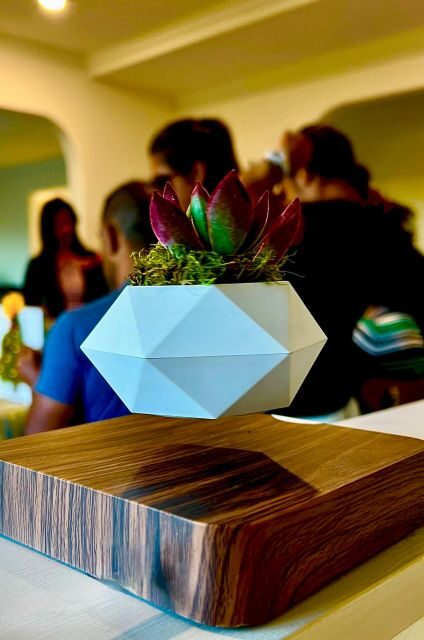 Magnetic Floating Terrarium Workshop - What the Workshop Involves: An Overview