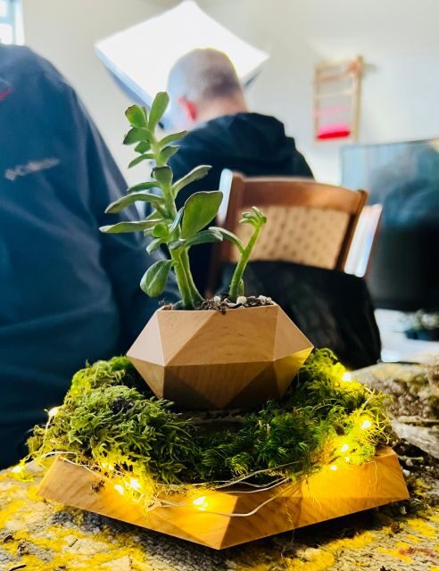 Magnetic Floating Terrarium Workshop - Authentic Insights and What Travelers Say