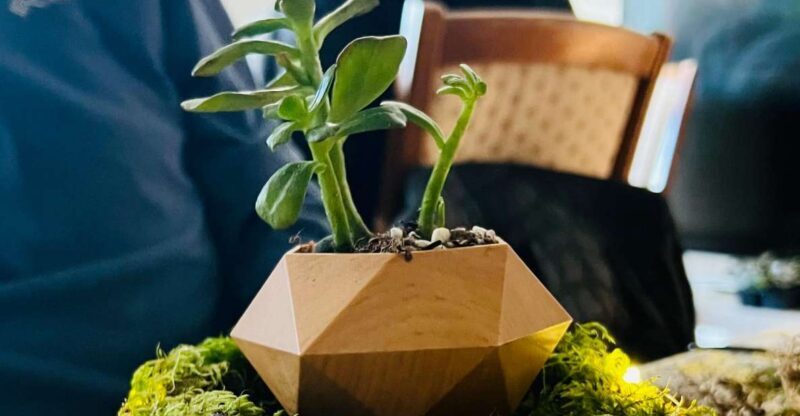 Magnetic Floating Terrarium Workshop - Who Will Love This Workshop?