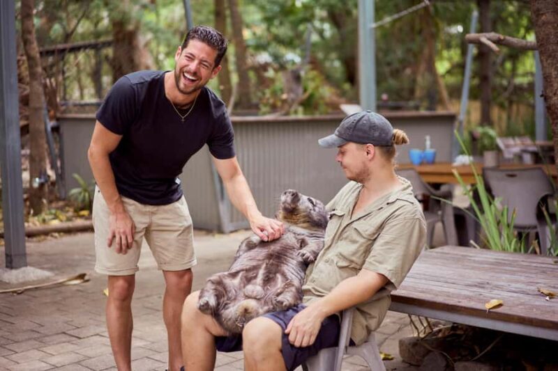 Magnetic Island: Breakfast with Koalas Experience - Who Will Love This Experience?