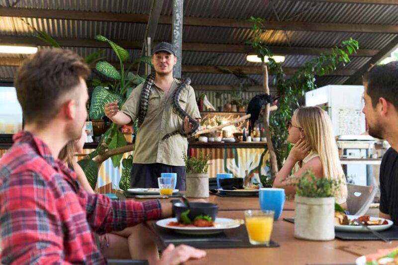 Magnetic Island: Breakfast with Koalas Experience - The Sum Up