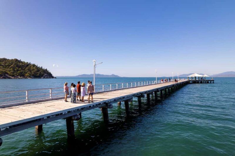 Magnetic Island: Private Guided Tour including Koalas - Authenticity and Value